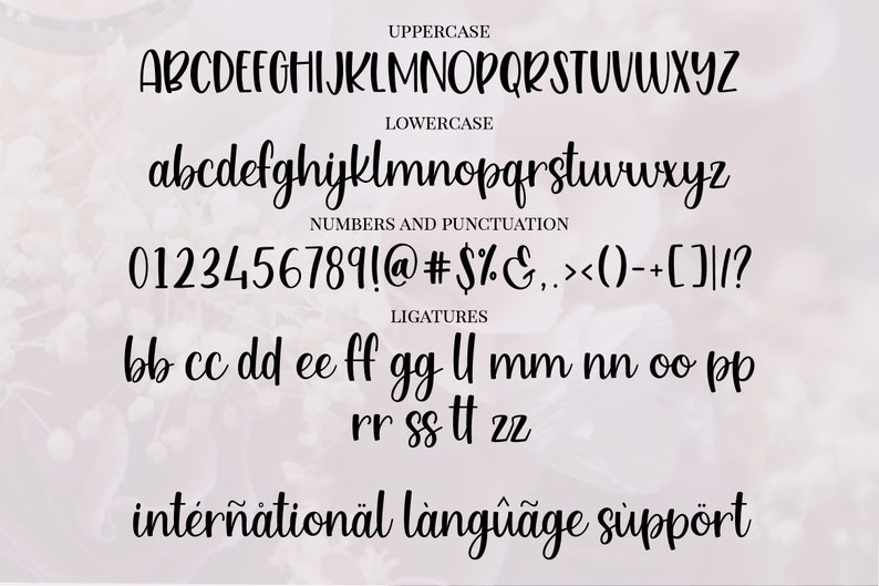 Modern Calligraphy Script Font Handwritten Handwriting - Etsy