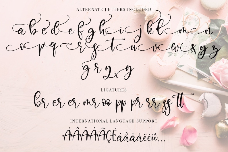 Calligraphy Script Modern Font Font Collection Hand - Etsy