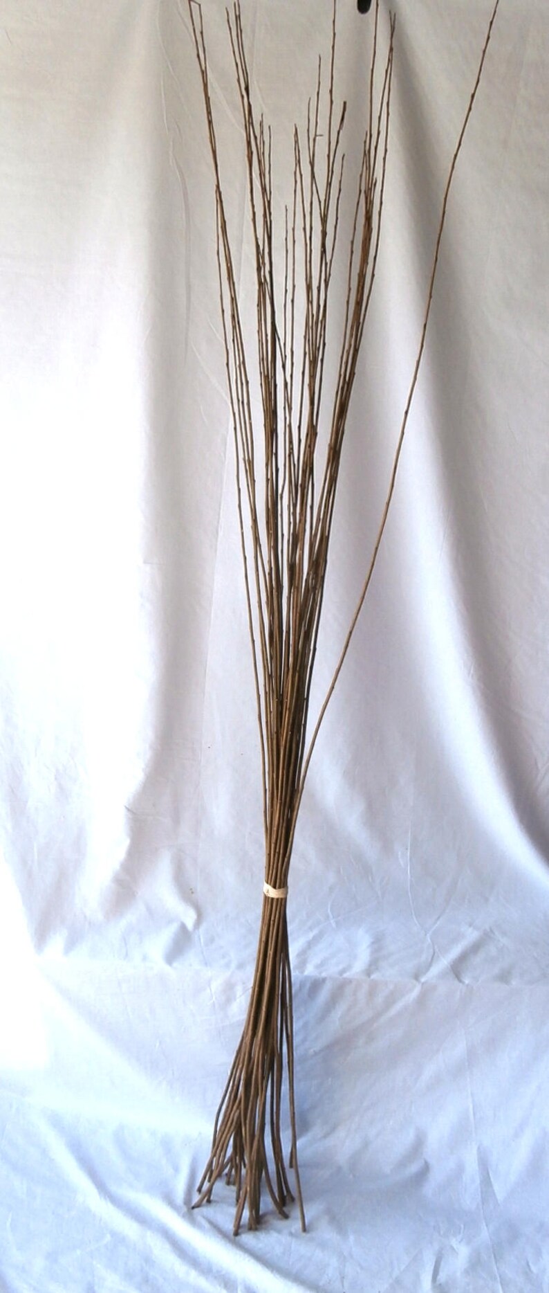 Willow Twig Bundle Straight Willow Branches Natural Willow | Etsy