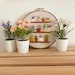 The Flower Shop Embroidery Pattern - Instant Digital Download - PDF ...