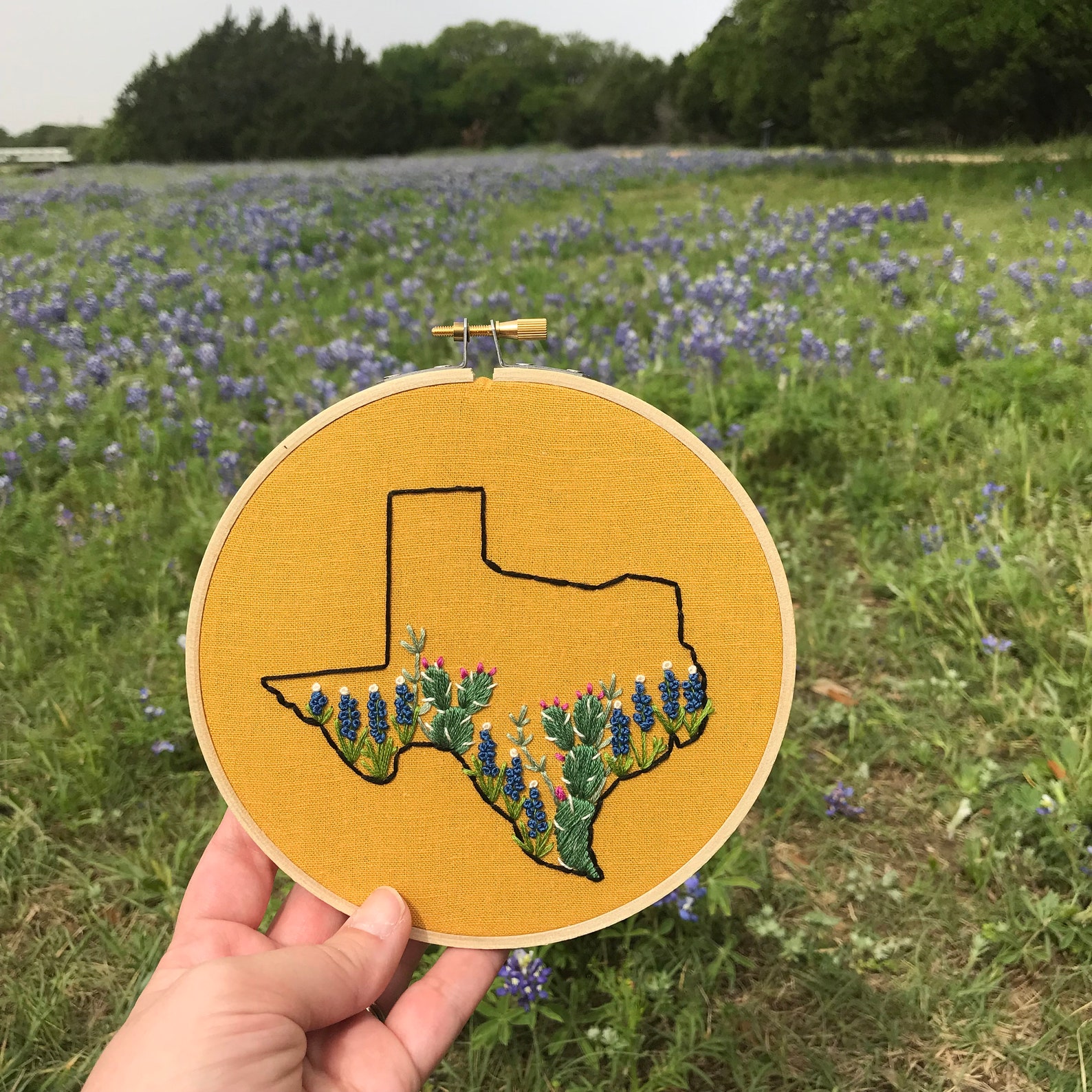 Texas State Embroidery Pattern and Stitch Guide Digital PDF Instant ...