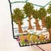Arkansas State Embroidery Pattern - Instant Digital Download -PDF ...