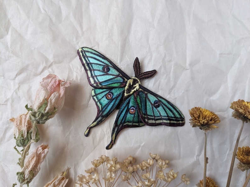 Iridescent Realistic Moth Embroidery Applique / High Quality Iron on ...