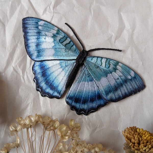 Realistic Butterfly - Etsy