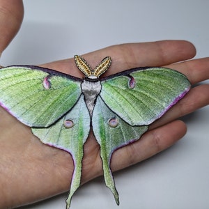 Iridescent Realistic Moth Embroidery Applique / High Quality Iron on ...