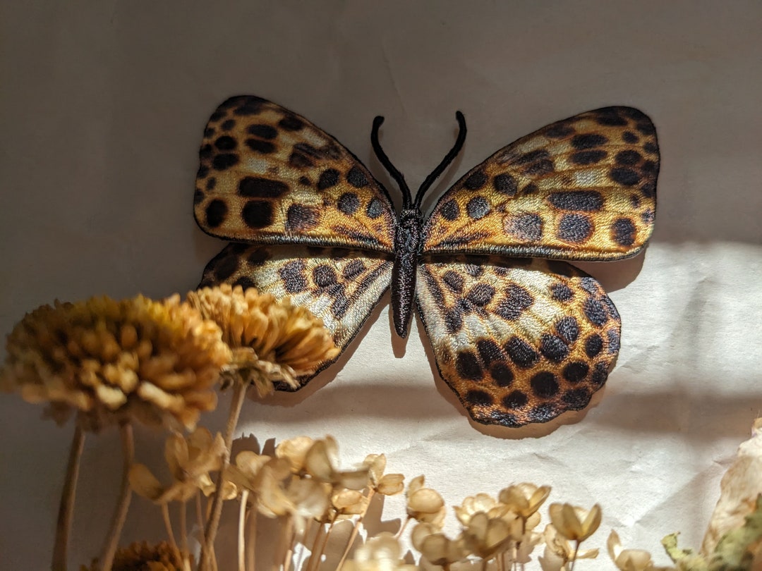 Iridescent Realistic Butterfly Embroidery Applique / High Quality Iron ...