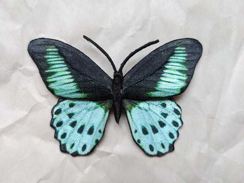 Iridescent Realistic Butterfly Embroidery Applique / High Quality Iron ...