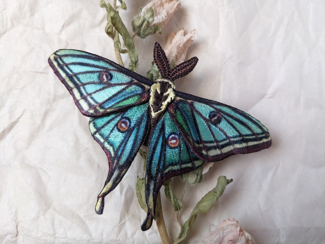 Iridescent Realistic Moth Embroidery Applique / High Quality Iron on ...
