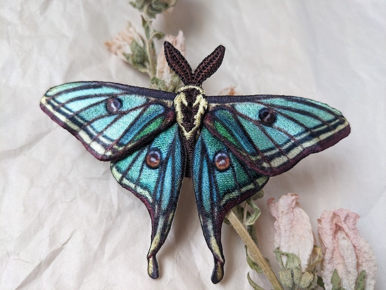 Iridescent Realistic Moth Embroidery Applique / High Quality - Etsy