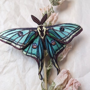 Iridescent Realistic Moth Embroidery Applique / High Quality Iron on ...