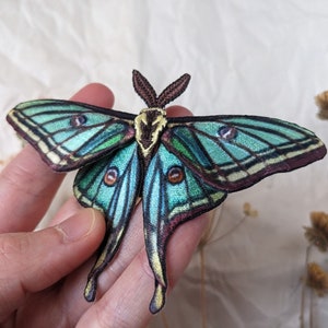 Iridescent Realistic Moth Embroidery Applique / High Quality Iron on ...