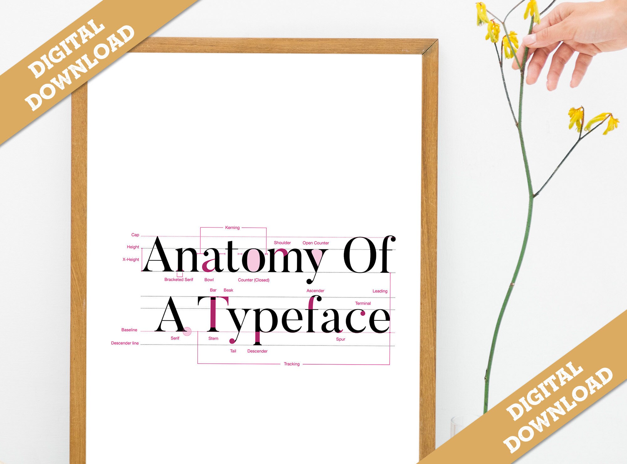 Typography Anatomy Poster | Graphic Designer Gift | Printable Art ...