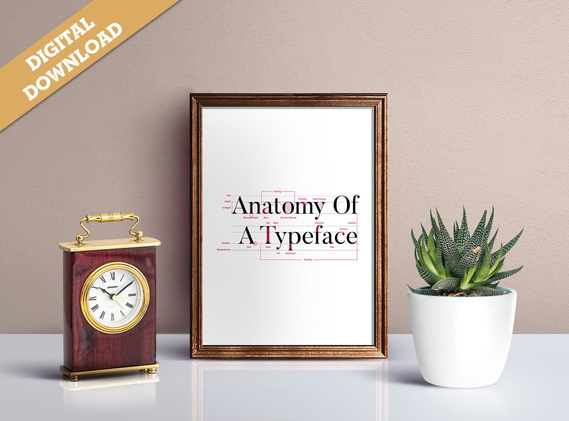 Typography Anatomy Poster Graphic Designer Gift Printable - Etsy