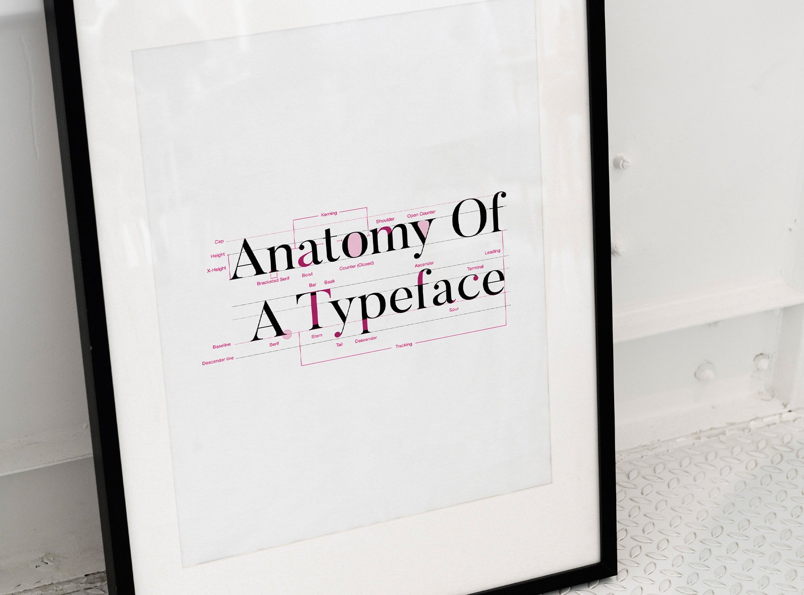 Typography Anatomy Poster Graphic Designer Gift Printable - Etsy