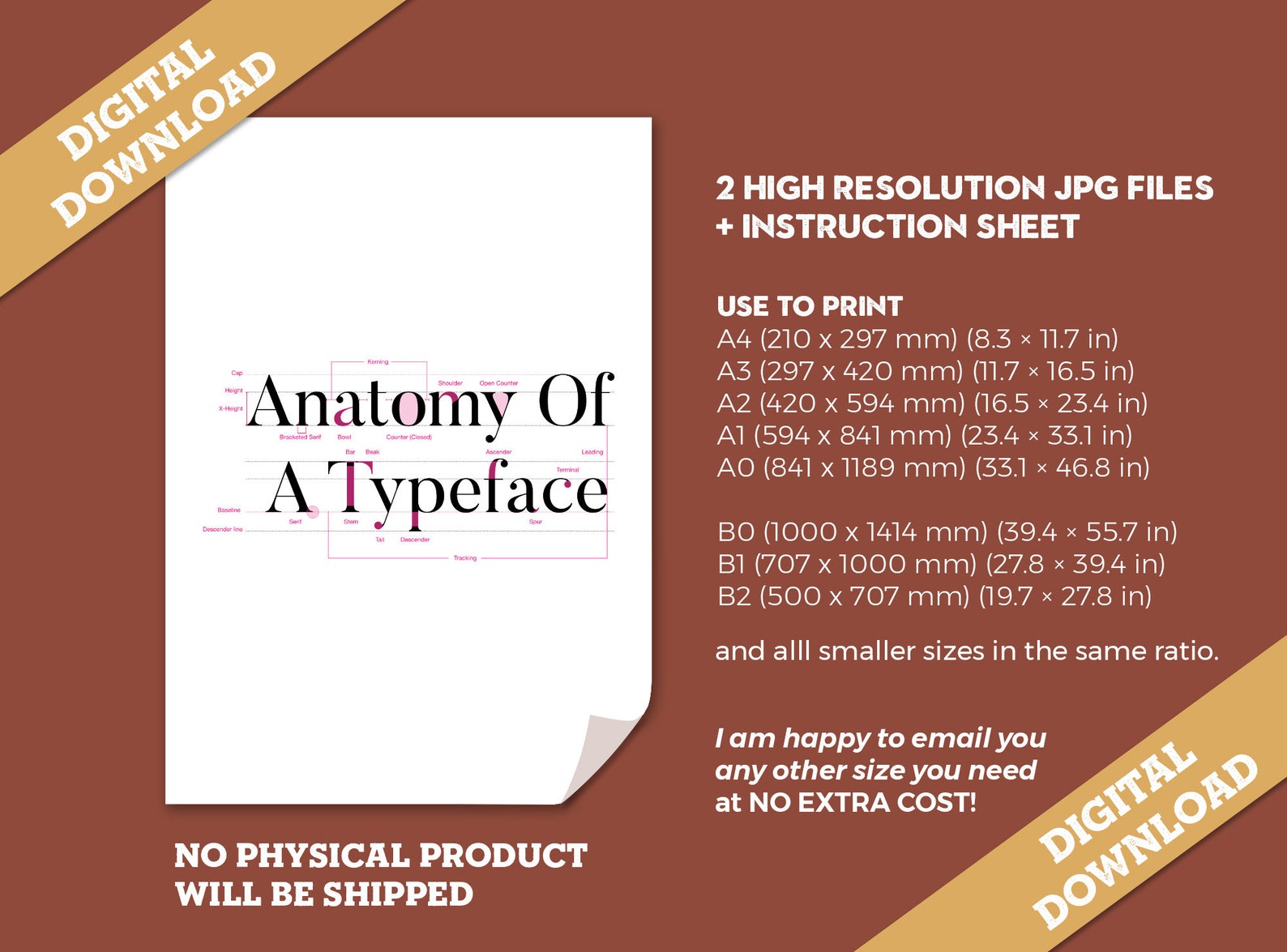 Typography Anatomy Poster Graphic Designer Gift Printable - Etsy