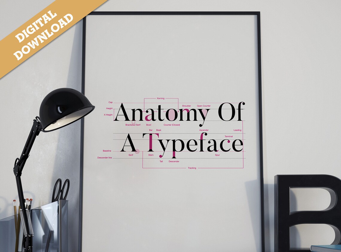 Typography Anatomy Poster Graphic Designer Gift Printable - Etsy