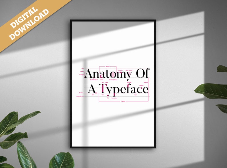 Typography Anatomy Poster Graphic Designer Gift Printable - Etsy
