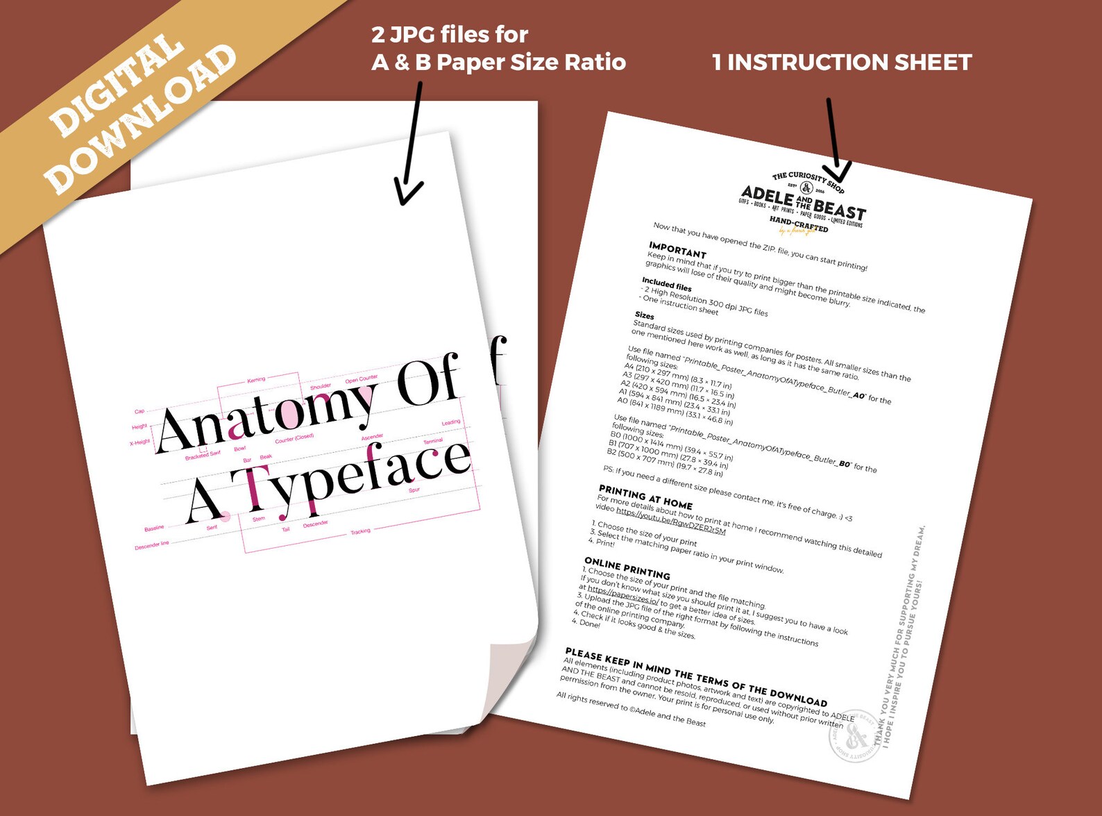 Typography Anatomy Poster | Graphic Designer Gift | Printable Art ...