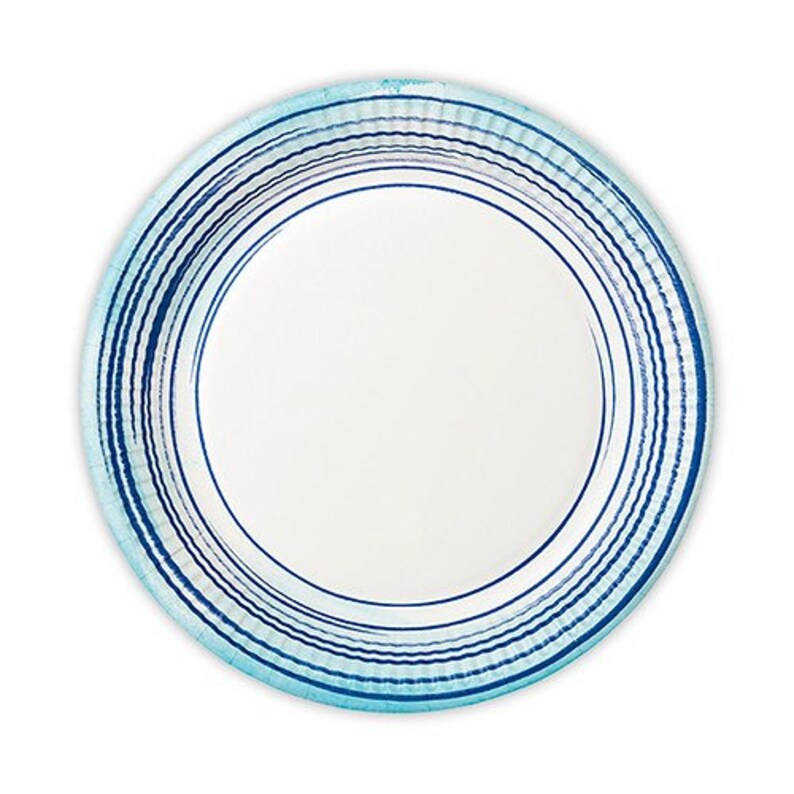 Costal Blue Party in a Box Kit Party Kit Party Plates Blue - Etsy