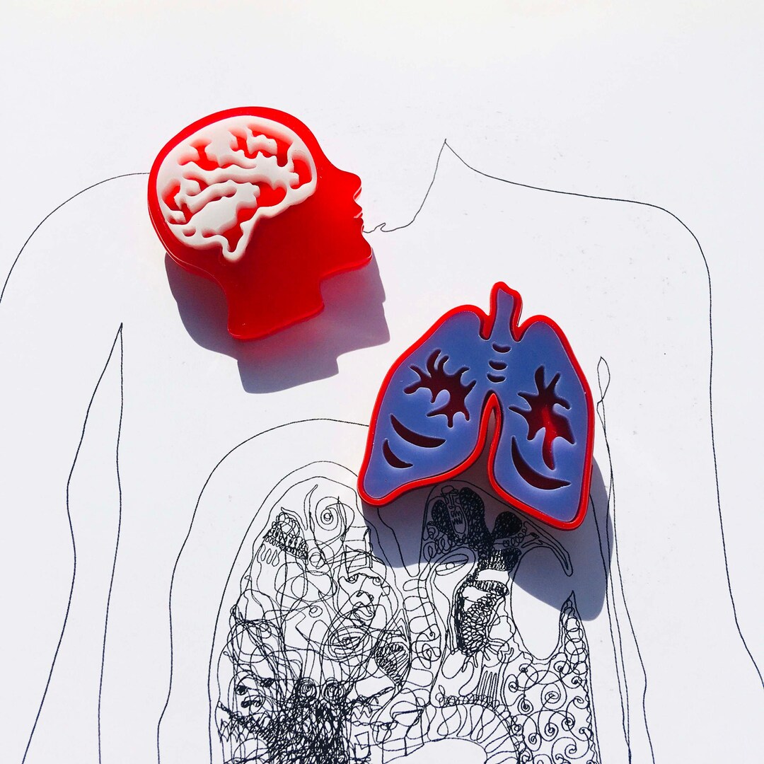 Acrylic Anatomy Brooch Pin // Lung // Brain // Milagros // Charm ...