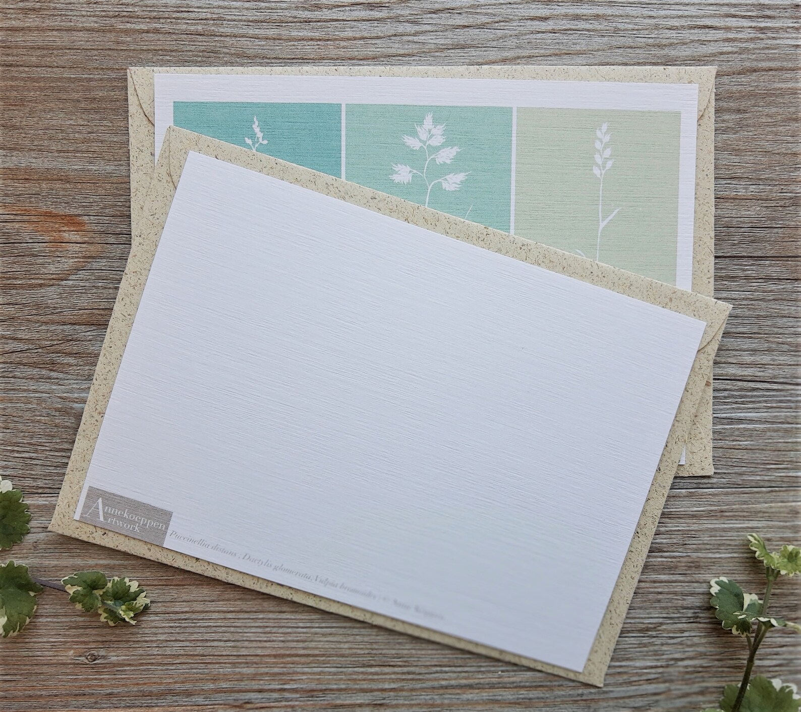 4 Greeting Cards in the Set "grasses on a Colored Background, A ...
