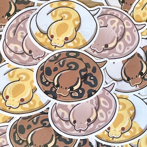 Cute Ball Python Stickers, Ball Python Morphs - Etsy