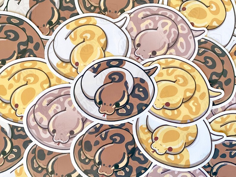Cute Ball Python Stickers Ball Python Morphs Snake Vinyl - Etsy