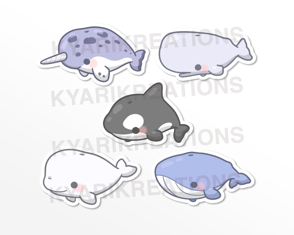 Cute Whale Stickers, Marine Life Stickers, Beluga, Blue Whale, Orca ...