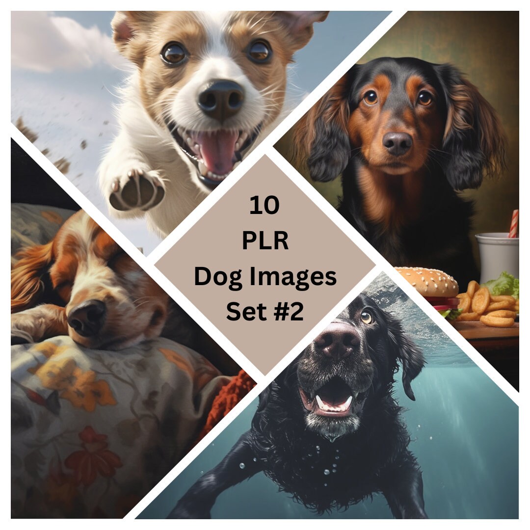 PLR Dog Images PLR Dog Photos Pictures of Dogs Private Label Rights ...
