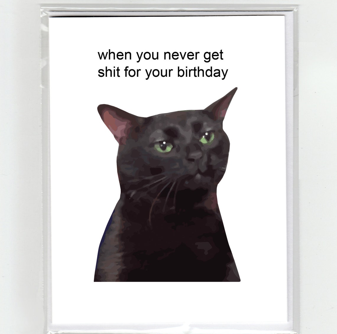 Zoned Out Cat Meme Birthday Card Viral Funny Joke Goofy Quirky Playful ...