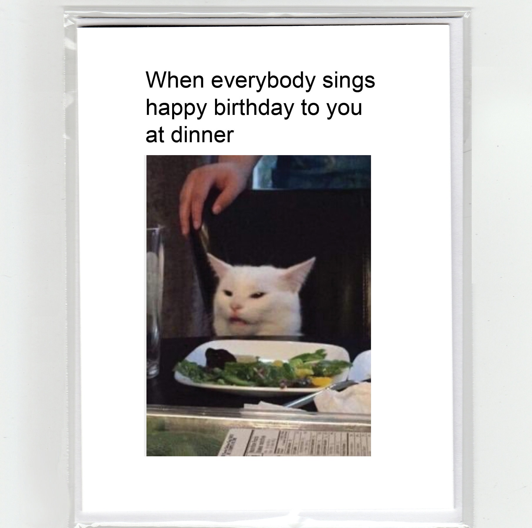 Cat Happy Birthday Meme