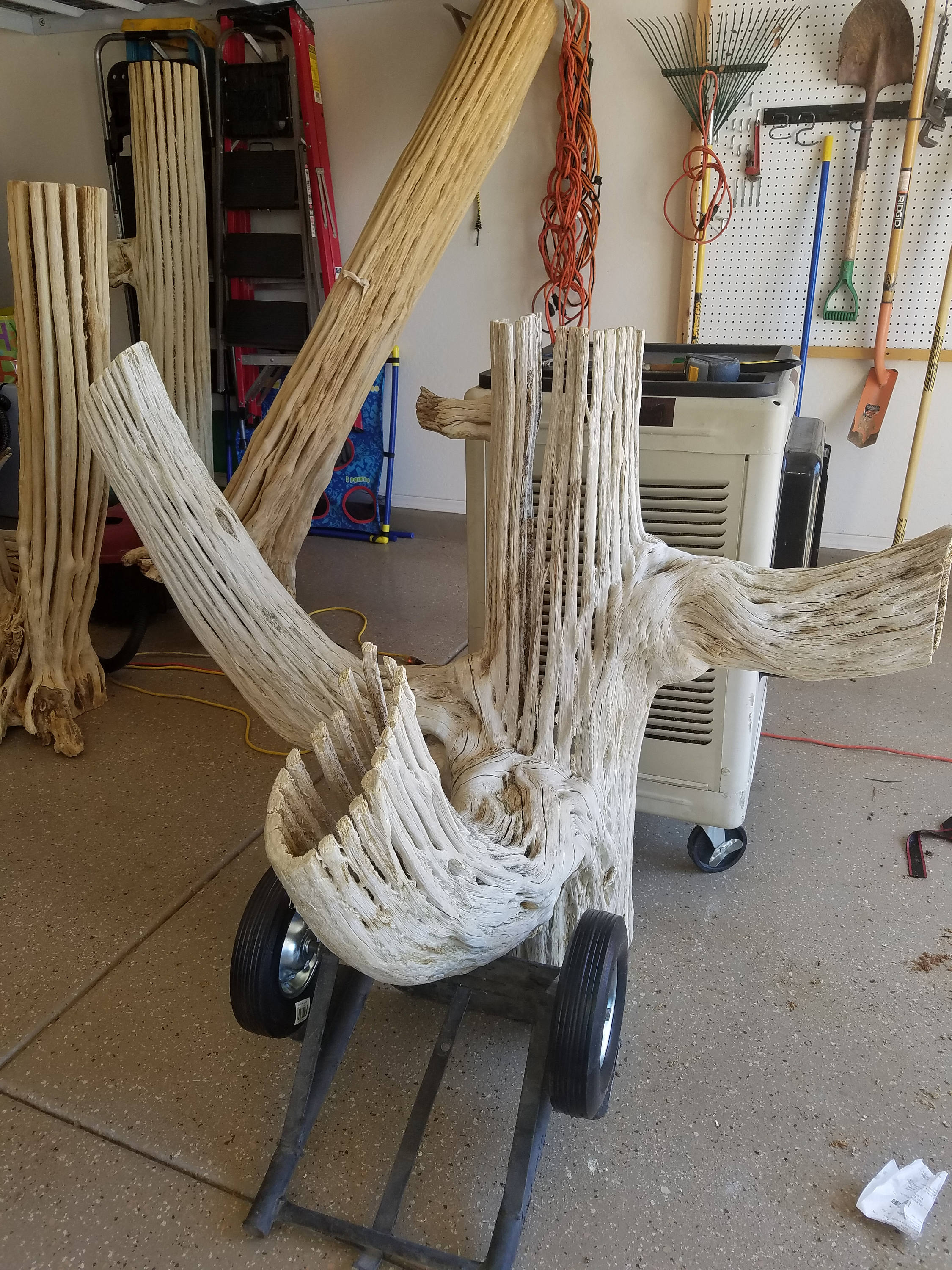 Saguaro Skeleton Cactus Arizona Desert Art - Etsy