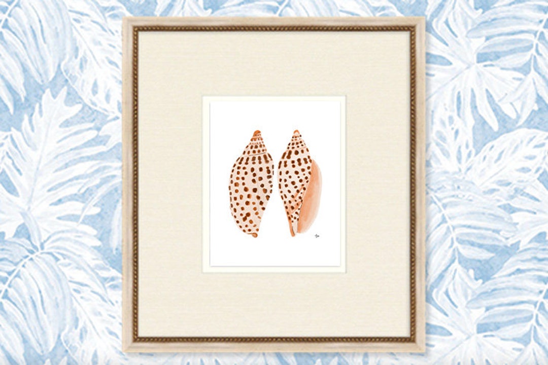 Shell Print | Digital Prints | Downloadable Art | Digital Drawings ...