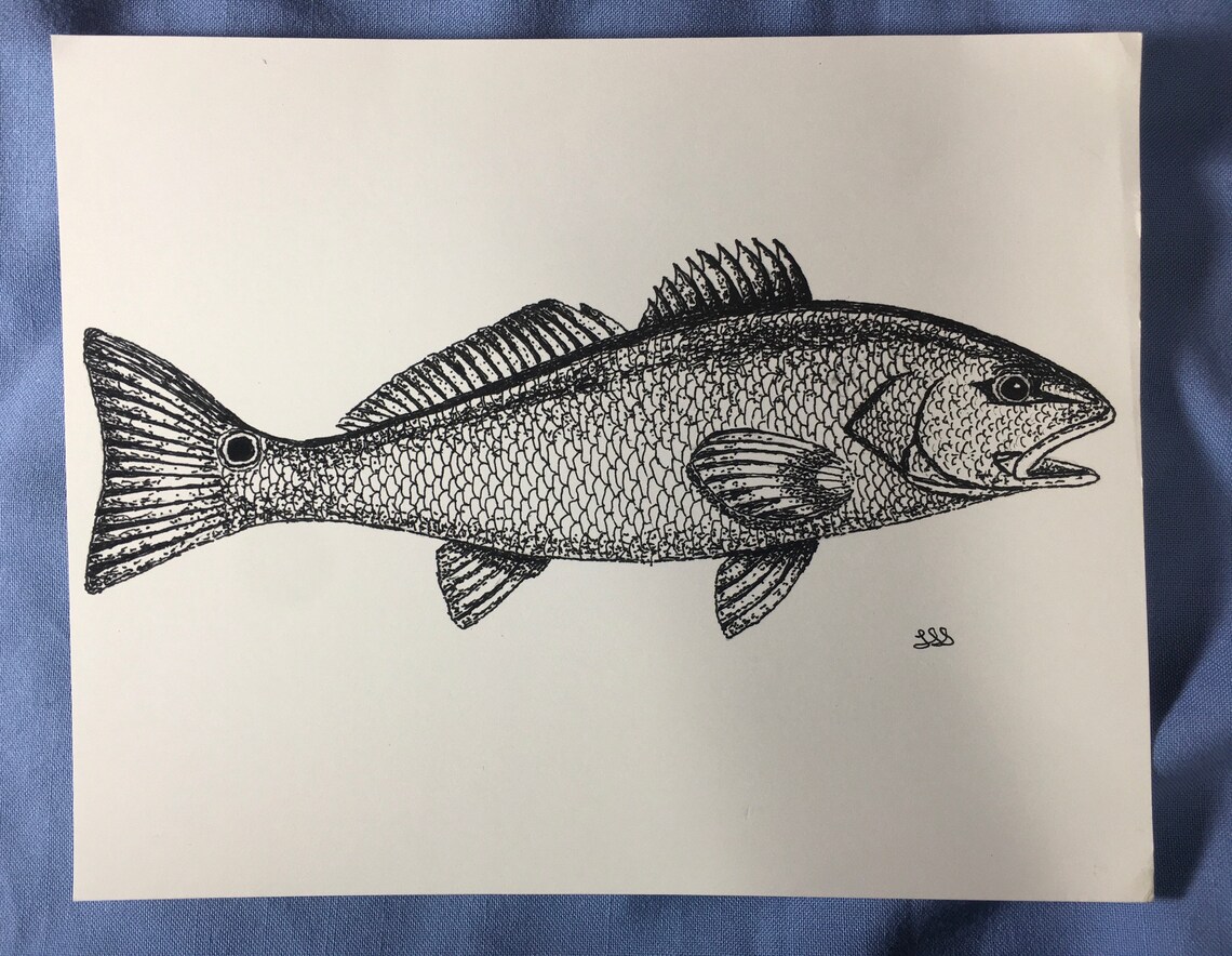 Stipple Wild Animal Art Print Tigers Hare Zebra Lion Fish - Etsy