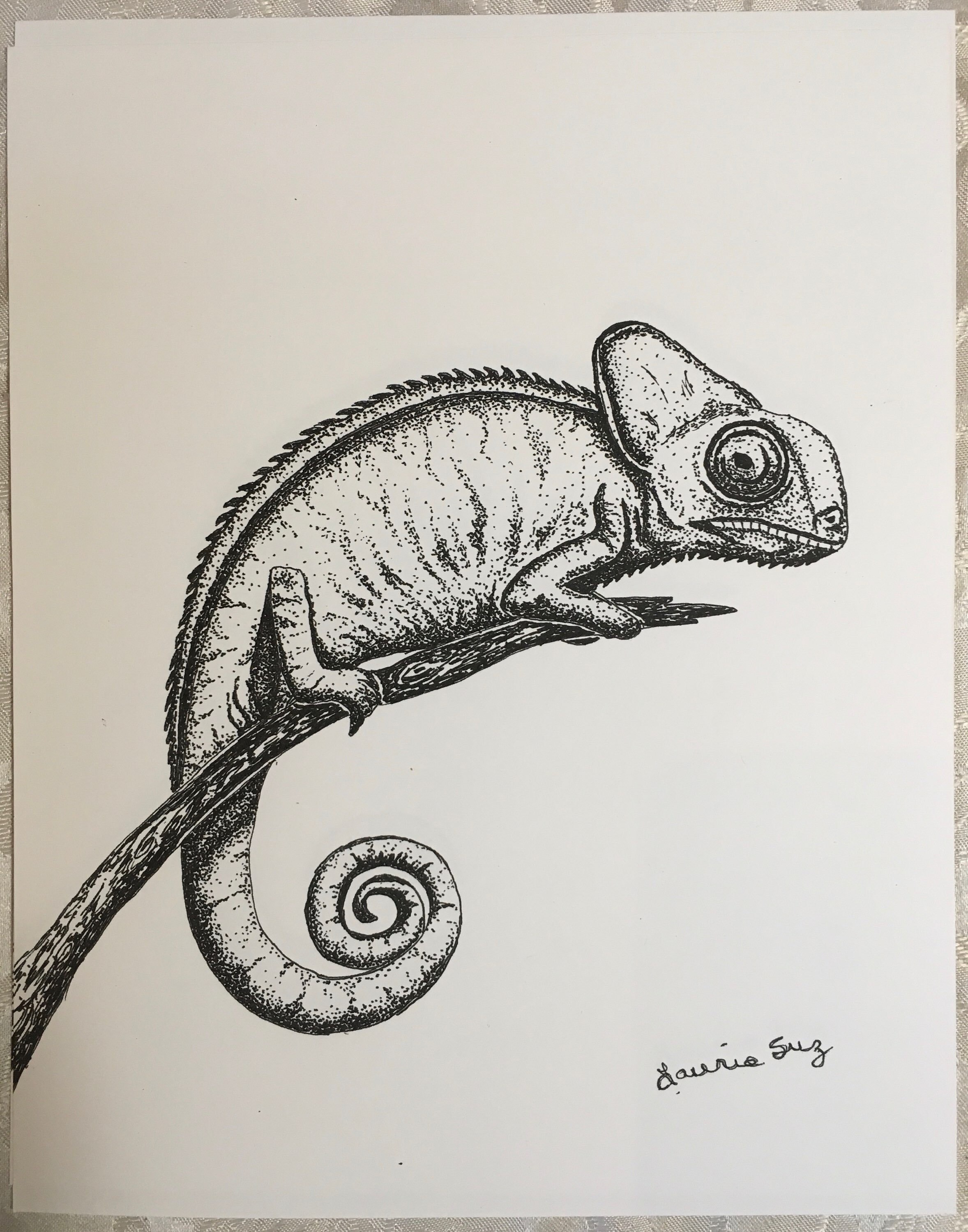 Stipple Wild Animal Art Print Tigers Hare Zebra Lion Fish - Etsy