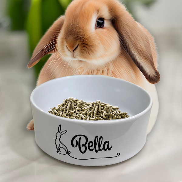 Rabbit Bowl - Etsy