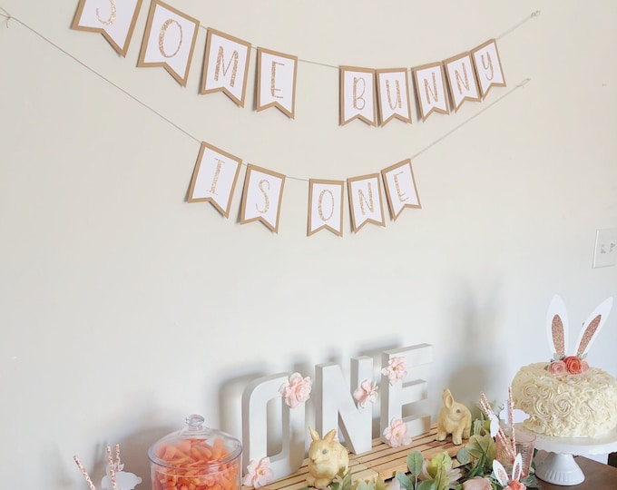 Bunny Birthday Party Decoration Kit Some Bunny is Turning One Bundle ...
