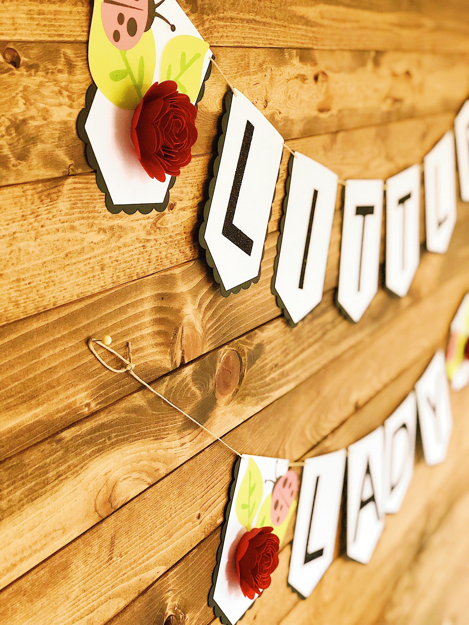Lady Bug Garland | Ladybug Birthday Decor | 1st Birthday Banner ...