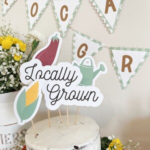 Farm Cake Topper | Farm Birthday Decor | Barn Cake | Barnyard Cake ...