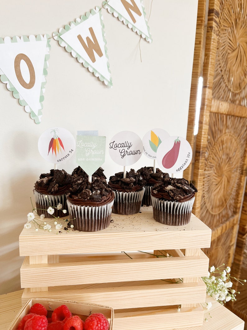 Veggie Cupcake Toppers | Garden Party | Home Grown Baby Shower Theme ...