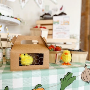 Mini Chicken Coop Replica | Baby Chick Party Favor | Farm Animal ...