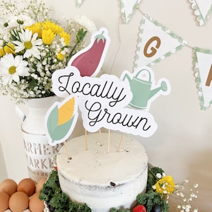 Farm Cake Topper | Farm Birthday Decor | Barn Cake | Barnyard Cake ...