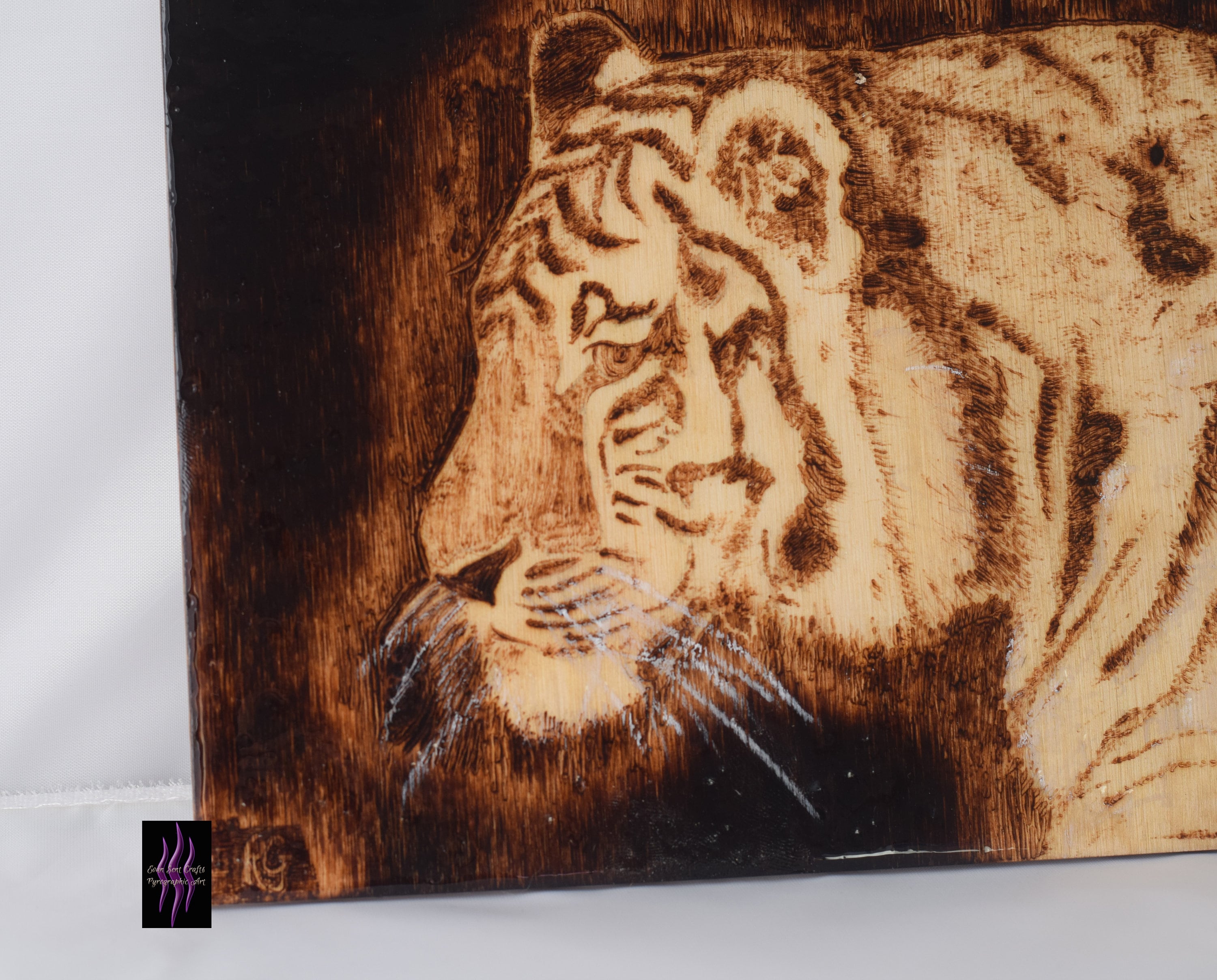 Tiger picture pyrographed tiger artwork | Etsy