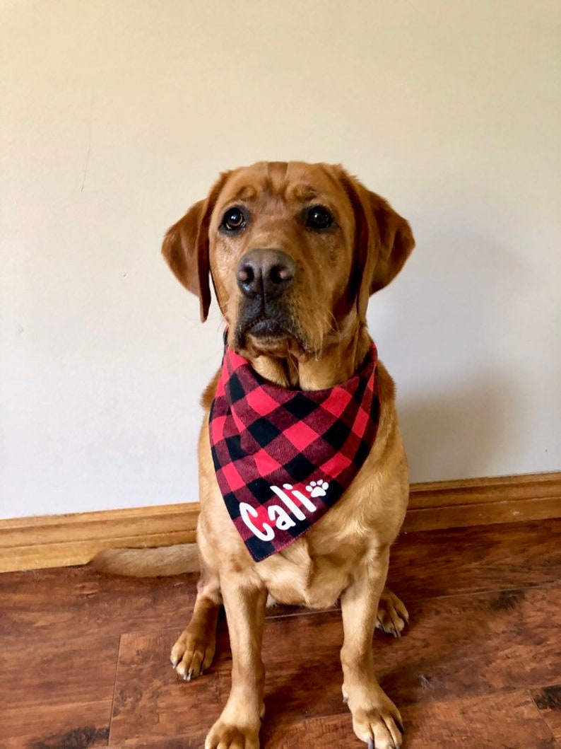 Dog Bandana Personalized Dog Bandana | Etsy Dog Bandana Personalized Dog Bandana | Etsy