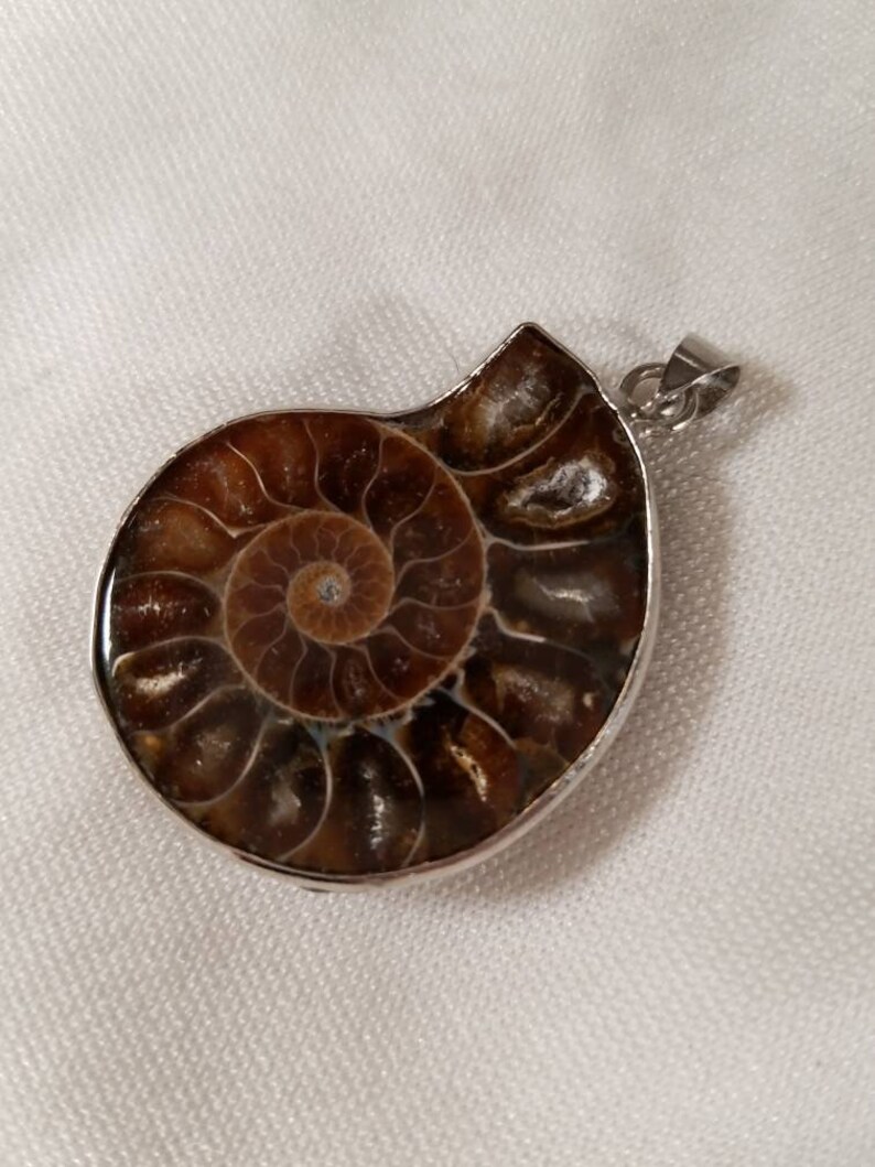 Fibonacci Fossil, Silver Lined Fossilized Spiral Shell Crystal Pendant ...