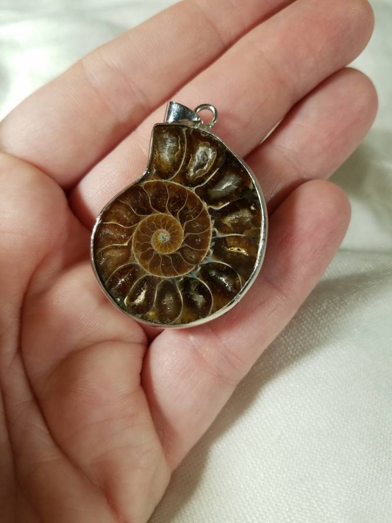 Fibonacci Fossil, Silver Lined Fossilized Spiral Shell Crystal Pendant ...