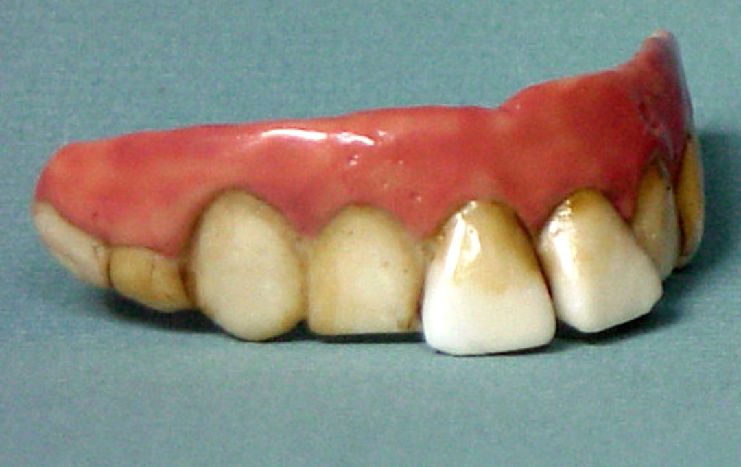 Hillbilly Fake Teeth Dr. Bukk Bukk Teeth Funny Teeth Joke - Etsy Australia