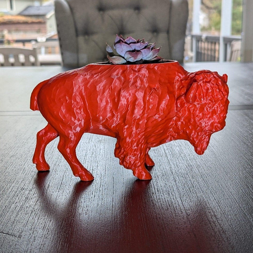 3D Printed Buffalo Planter, Red and Blue Succulent Pot, Eco-friendly ...
