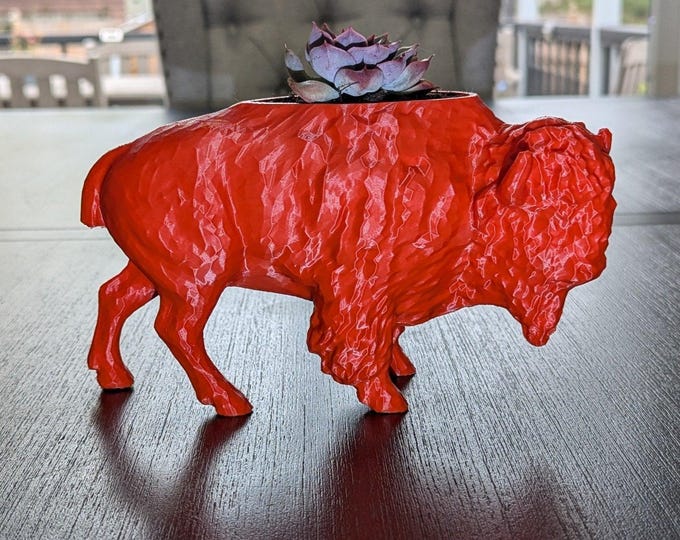 3D Printed Buffalo Planter, Red and Blue Succulent Pot, Eco-friendly ...