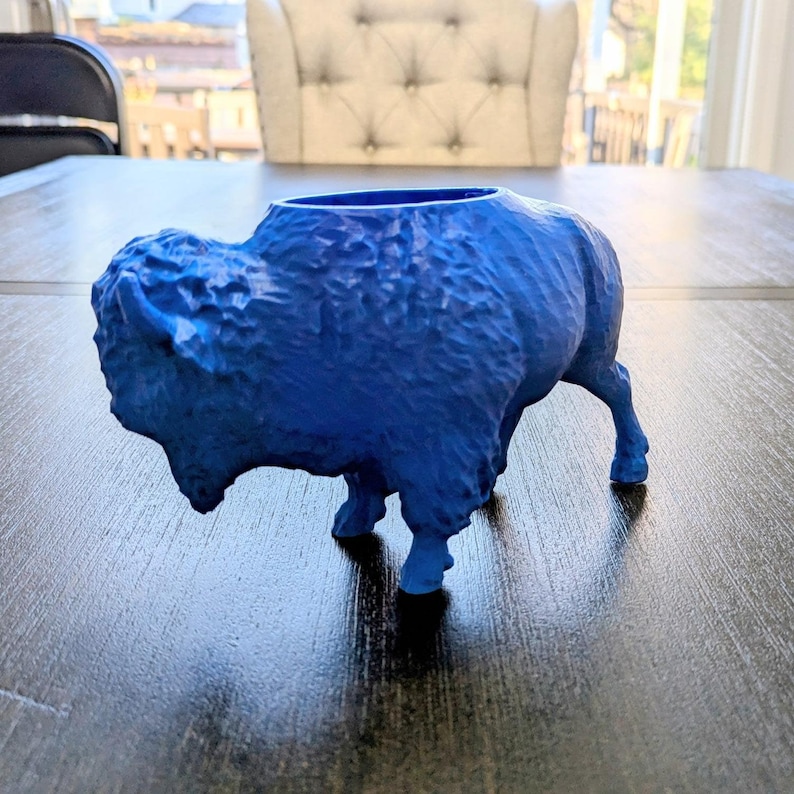 3D Printed Buffalo Planter, Red and Blue Succulent Pot, Eco-friendly ...